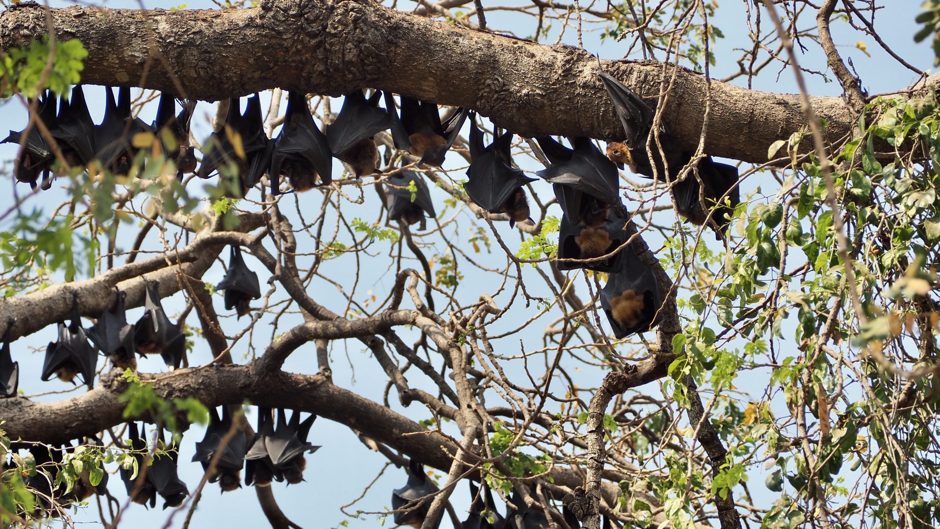 Visiting Battambang – Laura and Chris on Tour